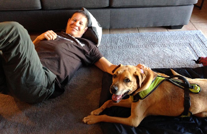 Spa Treatments for Senior Boxer Dog | Best Friends Animal Society